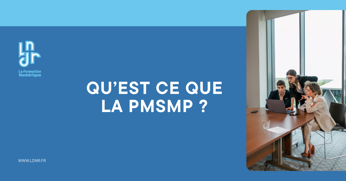 Cerfa Pmsmp En Ligne | Cerfa Immersion – EYONM